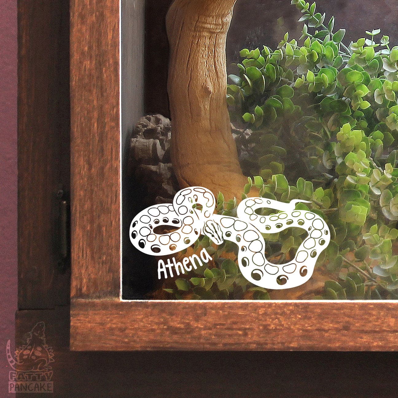 Rainbow Boa Decal, Waterproof Vinyl Decal, Cute Snake Reptile Gift ...