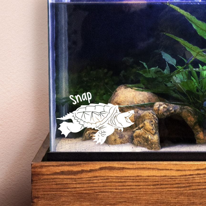 Alligator Snapping Turtle Decal, Waterproof Vinyl Decal, Cute Reptile ...
